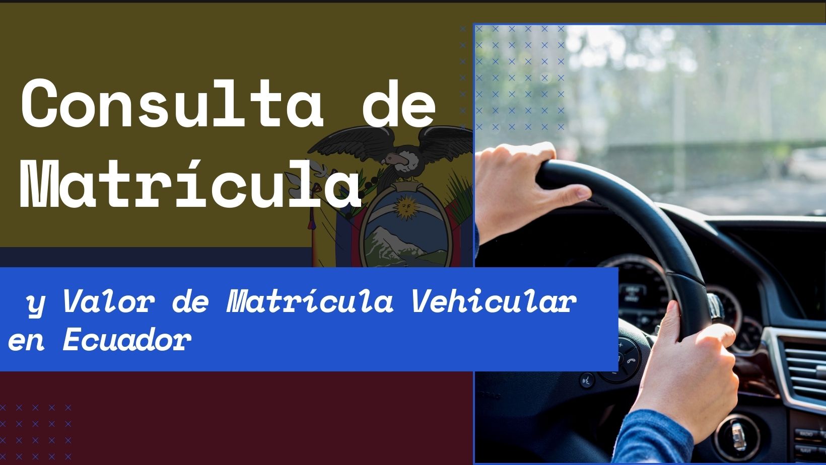 ANT turnos licencia de Conducir - Nueva, Renovación, licencia perdida